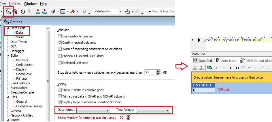 Orafaq Forum Client Tools Date Result Different For Same Query In Toad And Sql Developer 
